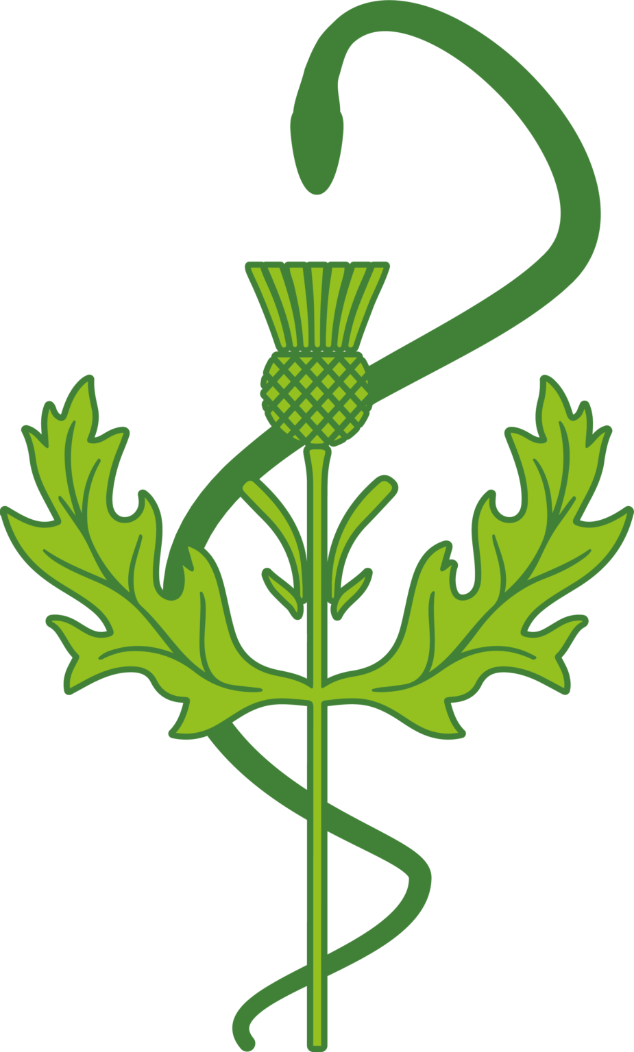 THÈSE D'EXERCICE - FACULTÉ DE PHARMACIE DE NANCY