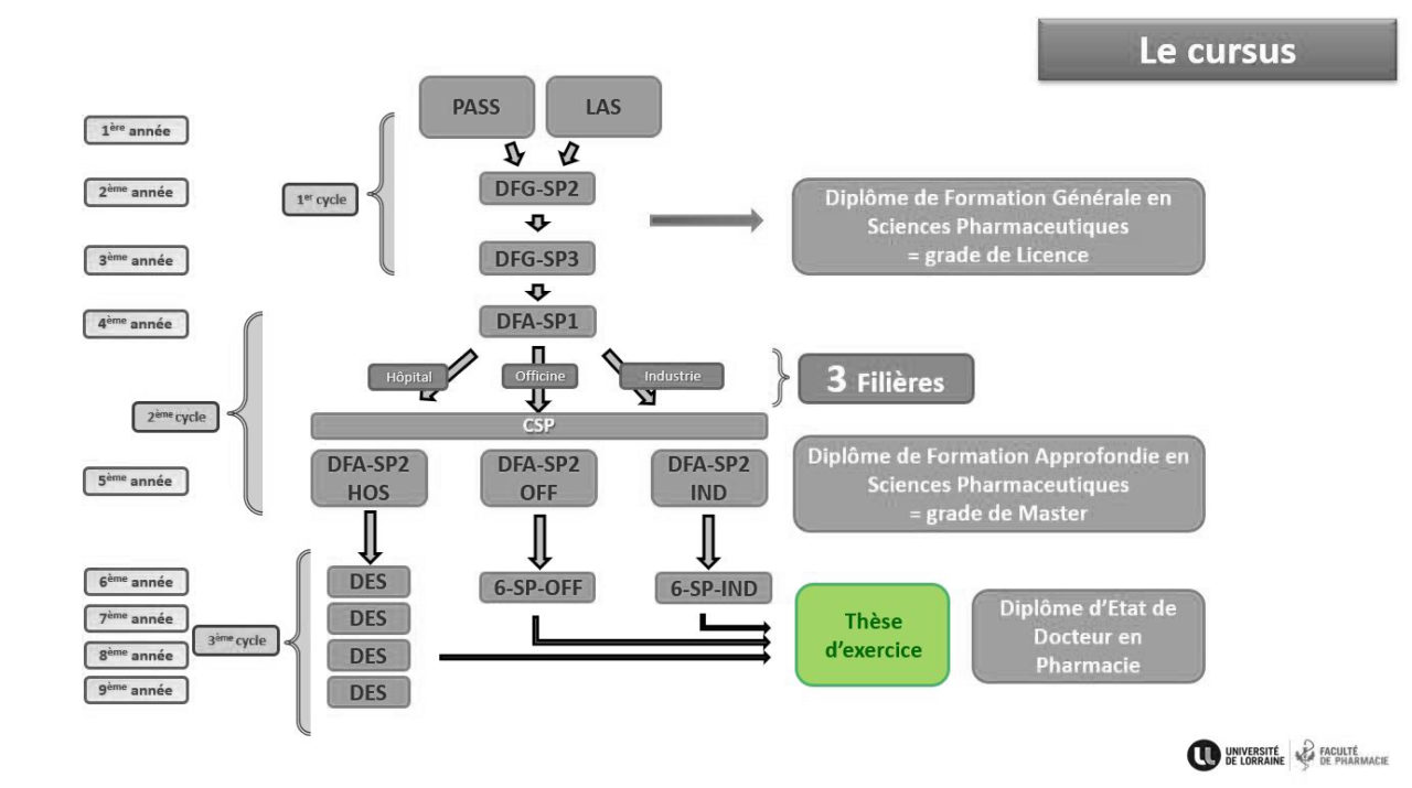 THÈSE D'EXERCICE - FACULTÉ DE PHARMACIE DE NANCY